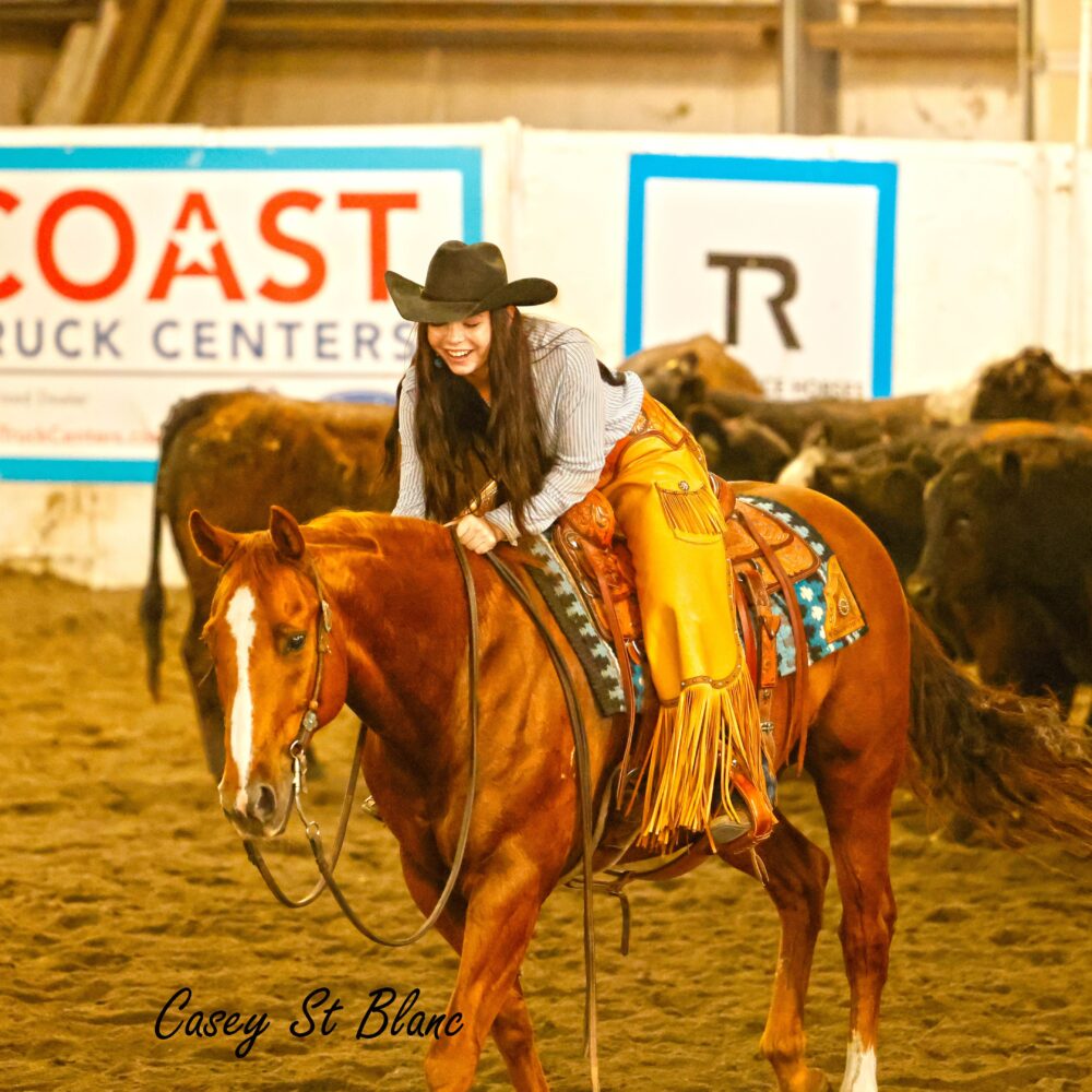 Bonina Event Center & Equine Nutrition – It's all about horses & cattle